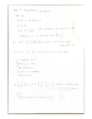 Tema-4-Diagonalizacion.pdf