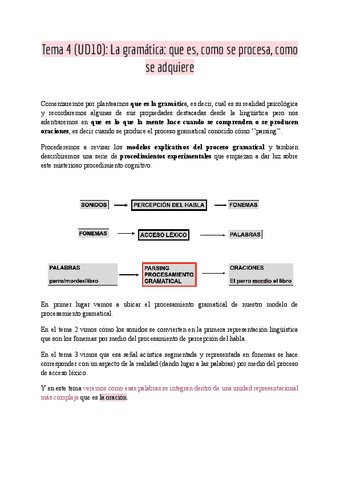 Tema-4-UD10-La-gramatica-que-es-como-se-procesa-como-se-adquiere.pdf