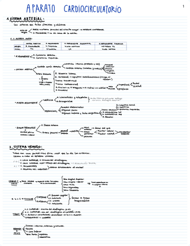 Aparato-cardiocirculatorio.pdf