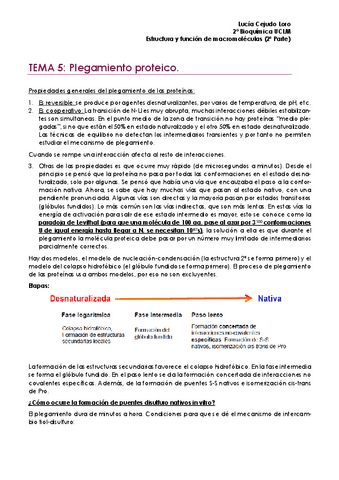 TEMA-5.-Macro-II.pdf