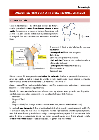T28-FRACTURAS-DE-LA-EXTREMIDAD-PROXIMAL-DEL-FEMUR.pdf
