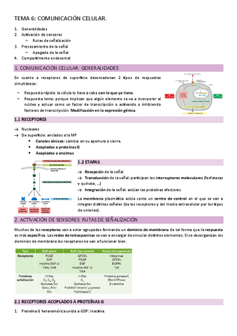 Tema-6.-Comunicacion-celular.pdf