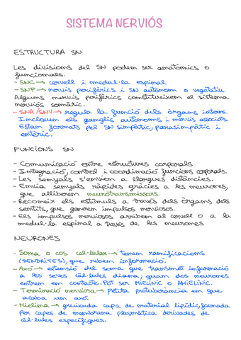 apunts-final-part-2.pdf