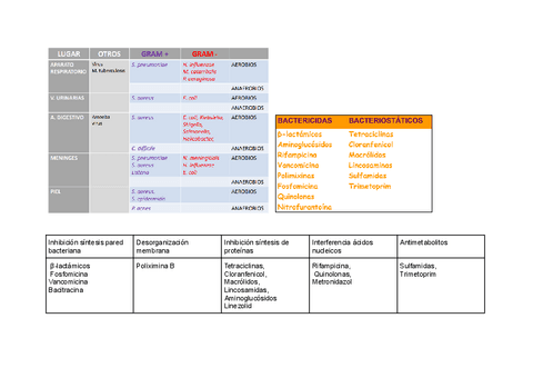 Esquemas-antibioticos.pdf
