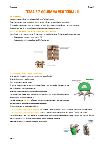 Anatomia-tema-37.pdf