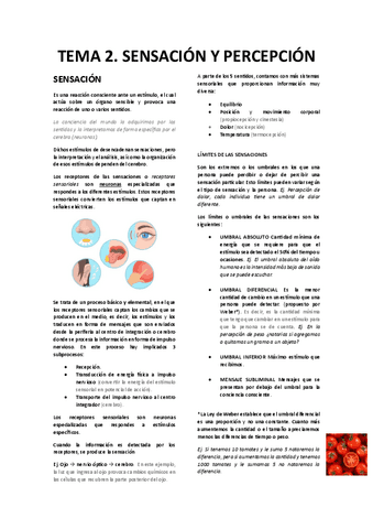 TEMA-2-Sensacion-y-percepcion..pdf