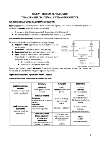 BLOC-V-sistema-reproductor-resumit.pdf
