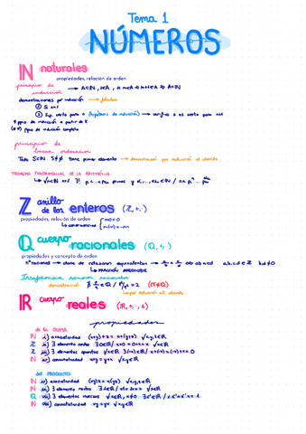 T1-Numeros-esquema.pdf