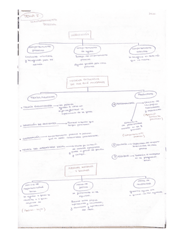 Tema-8-Social-esquemas.pdf