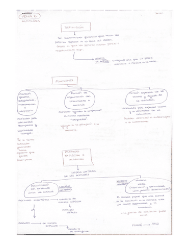 Tema-6-social-esquemas.pdf