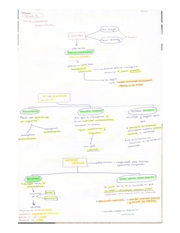 Tema-5-social-esquemas.pdf