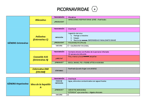 CLASIFICACION-VIRUS-ARN-PDF.pdf