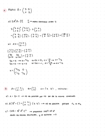 ejercicios-hechos-tema-2-matrices-julio-pallas.pdf