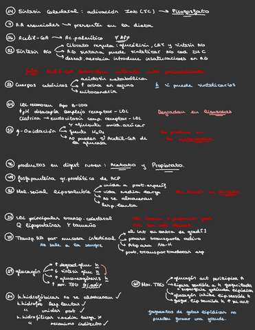 Recopilacion-posibles-preguntas-examen.pdf