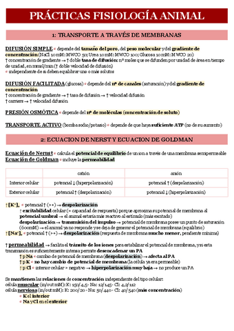 RESUMEN-PRACTICAS.pdf