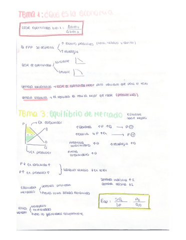 esquemas-introduccion.pdf