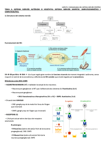 Apunts-farma-II.-Farmacologia-del-SNP.pdf
