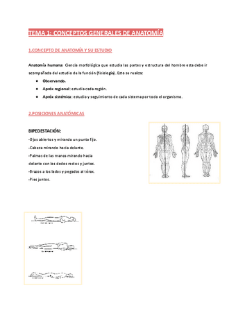 TEMA-1-CONCEPTOS-GENERALES-DE-ANATOMÍA.pdf