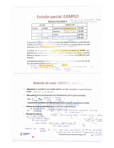 Escision-parcial.-EJEMPLO.pdf