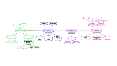 MAPA-CONCEPTUAL-TEMA-2.pdf