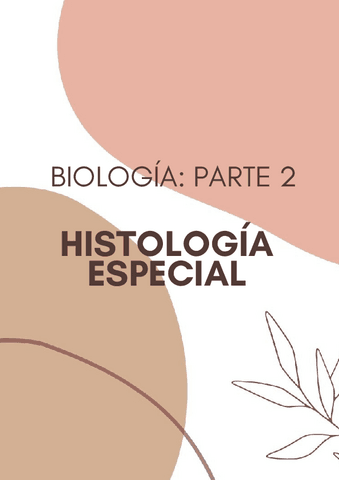 Bloque-II.pdf