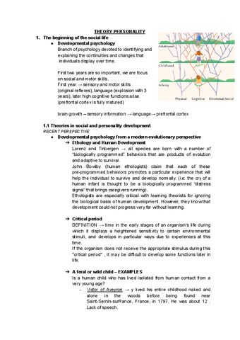 THEORY-PERSONALITY.pdf