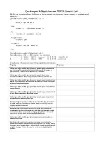 EJERCICIOS-EXAMEN-TEMAS-4-5-6-FC.pdf