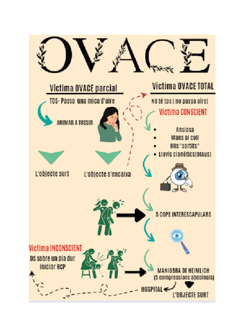 OVACE.pdf