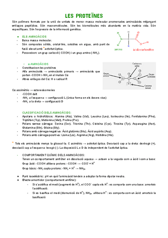 Les-proteines.pdf