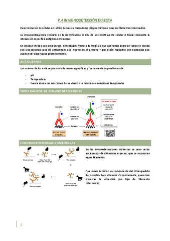 Practica-4.-INMUNODETECCION-DIRECTA-Biocel.pdf