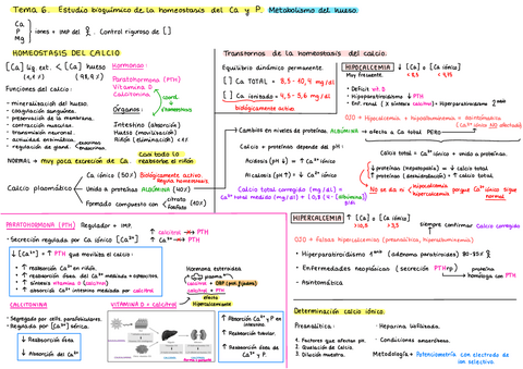 Esquema-Tema-6.pdf