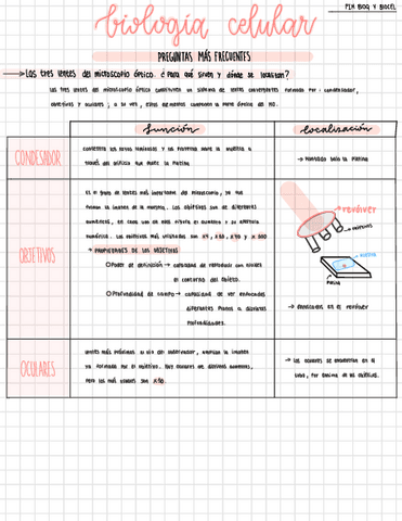 Preguntas-Examen-Parte-Biocel.pdf