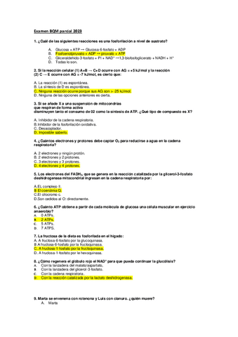 P-corregido.pdf