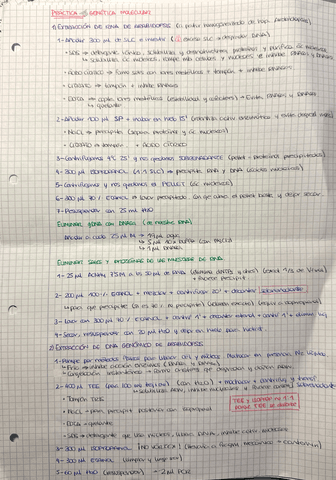 Resumen-practicas-genemo.pdf