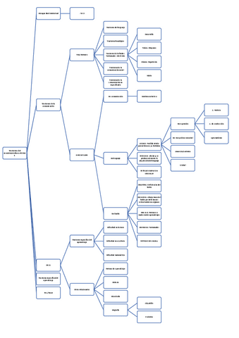 ESQUEMA-TEMA-4-VISUAL, NEAE.pdf