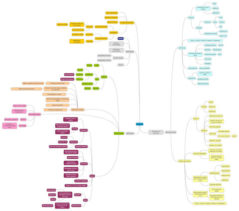 Mapa-SM-parasitologia.pdf