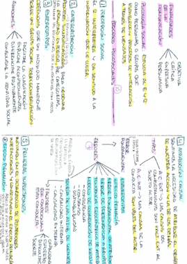 ESQUEMA T1 PSICO.pdf