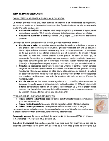 Tema-22-Completo.pdf