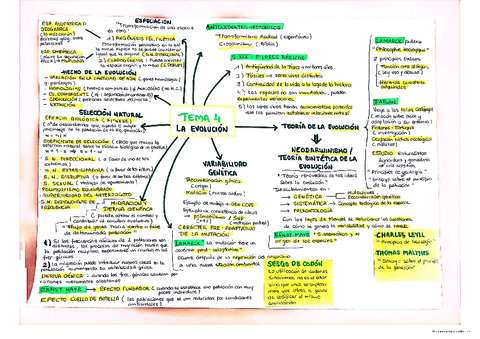 Mapa-conceptual-tema-4.pdf