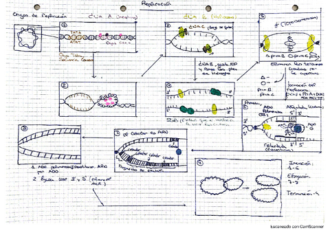 Replicacion-Esquemas.pdf