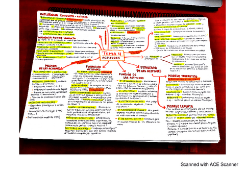 Mapa-conceptual-tema-4.pdf