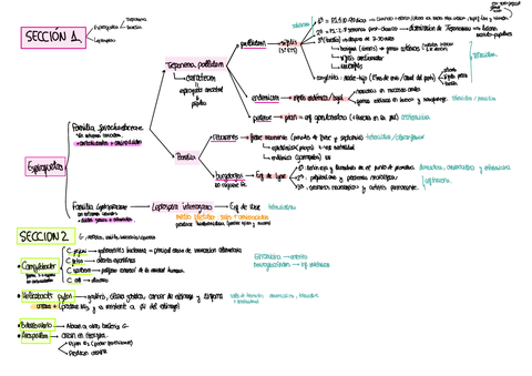 Esquemas-Parcial-2-micro-l.pdf