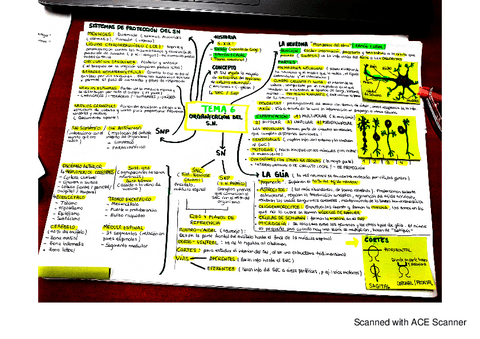 Mapa-conceptual-tema-6.pdf