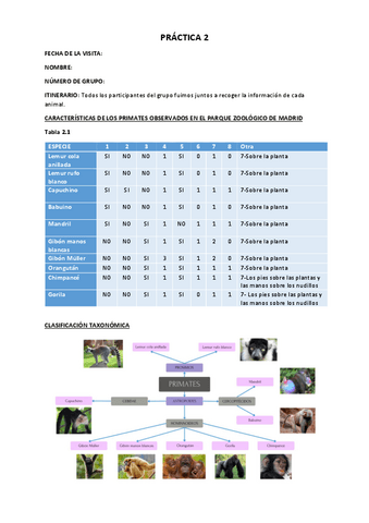 Practica-2-BLOQUE-2.pdf