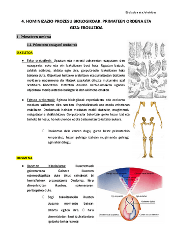 4.-GAIA.docx-1.pdf