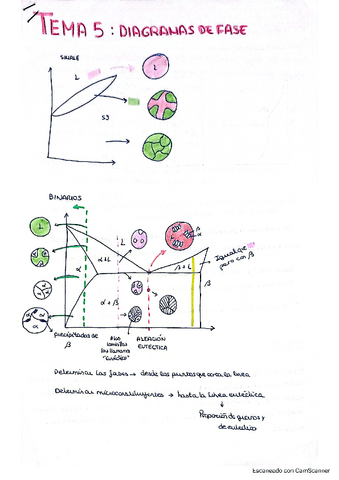 ejercicios-tema-5-materiales.pdf