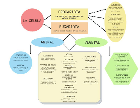 Esquema-de-celulas.pdf