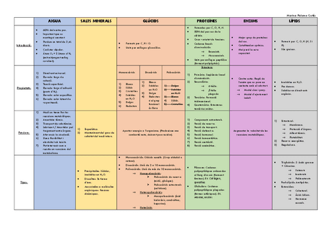 Esquema-fisiologia-cellular-Unitat-2.2-pdf.pdf