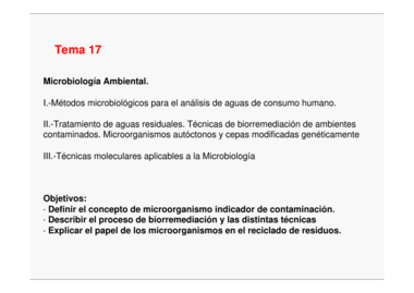 M2. Tema 17.pdf