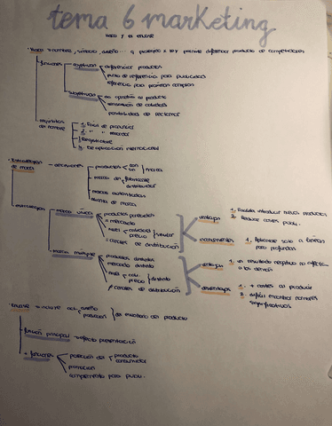 Resumen-Esquema-tema-6-MK.pdf